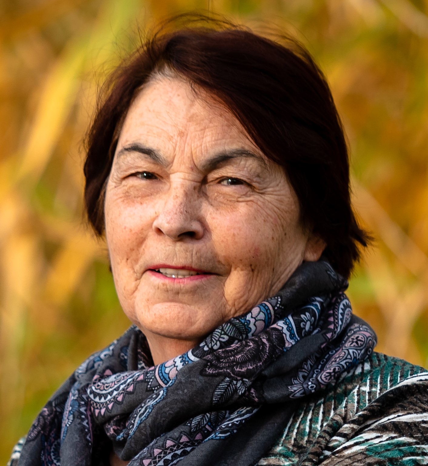 Au coeur de la municipalité